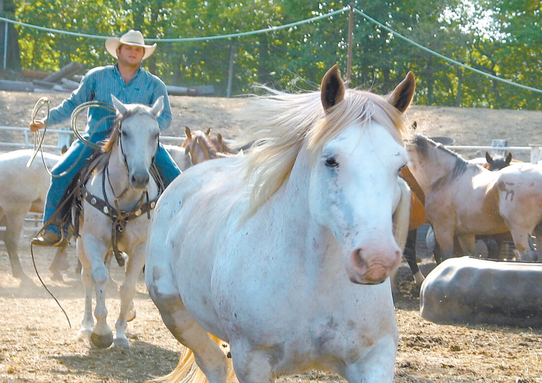 From our files: September 2007 | News, Sports, Jobs - Messenger News